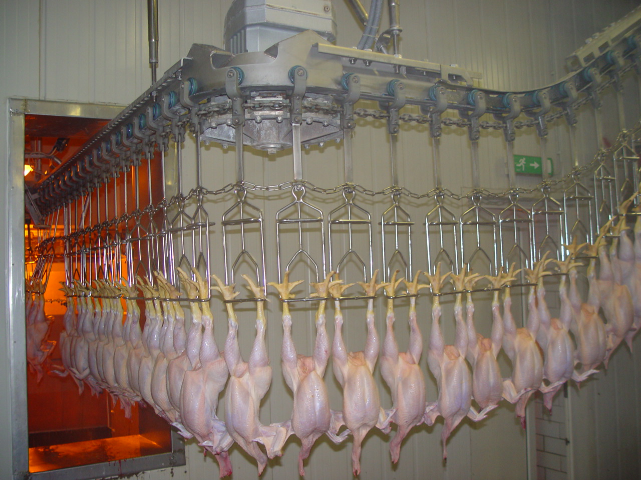 O salmonelách a salmonelóze v EU v roce 2024